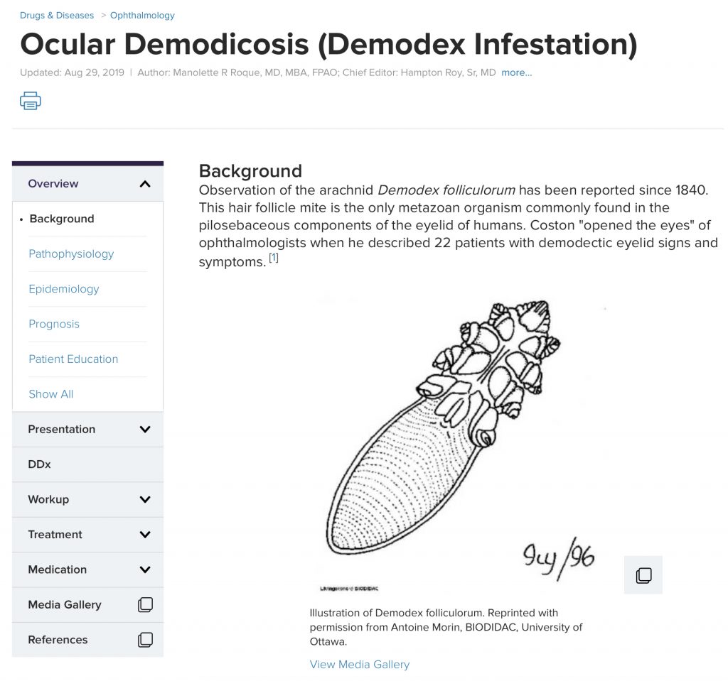 Demodicosis: Understanding and Managing Eye Mite Infections - ROQUE Eye ...