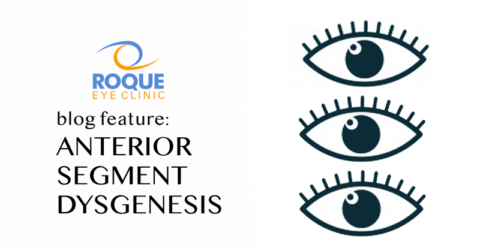 Anterior Segment Dysgenesis | Peter's Anomaly | Axenfeld-Rieger
