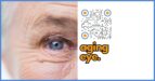 Understanding Benign Eyelid Warts: A Comprehensive Guide - ROQUE Eye ...