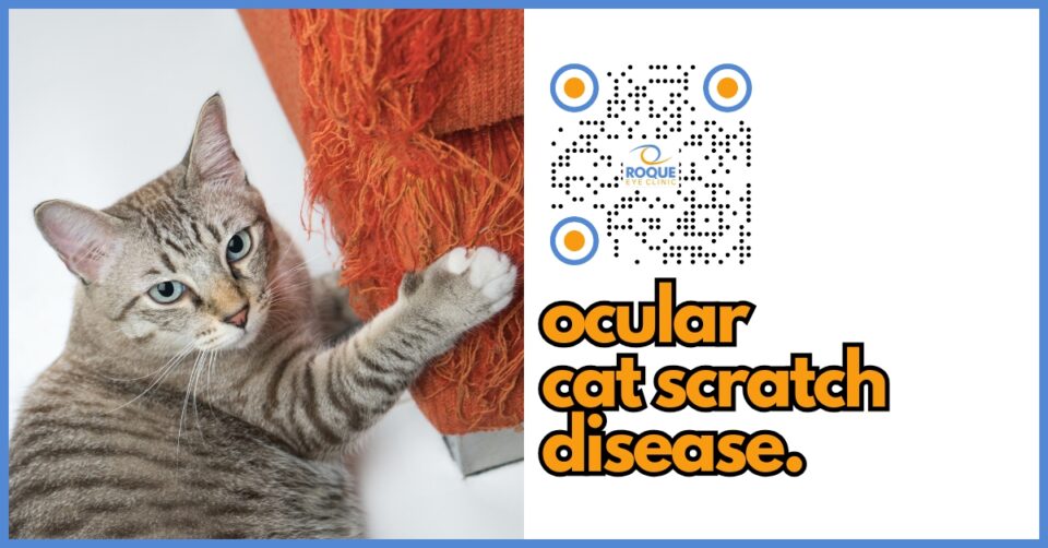 Eye Manifestations of Cat Scratch Disease: Symptoms, Treatment, and Prevention