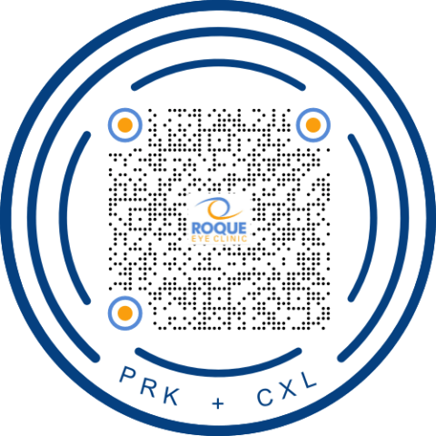 Comprehensive Guide to Pars Plana Vitrectomy (PPV) - ROQUE Eye Clinic ...
